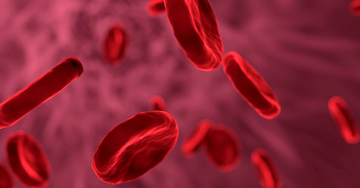 The Science Behind Jesus’ Blood Type – Sacred Windows